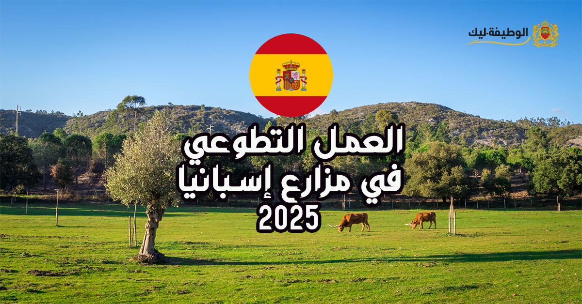 العمل التطوعي في مزارع إسبانيا 2025 - Alwadifa Lik