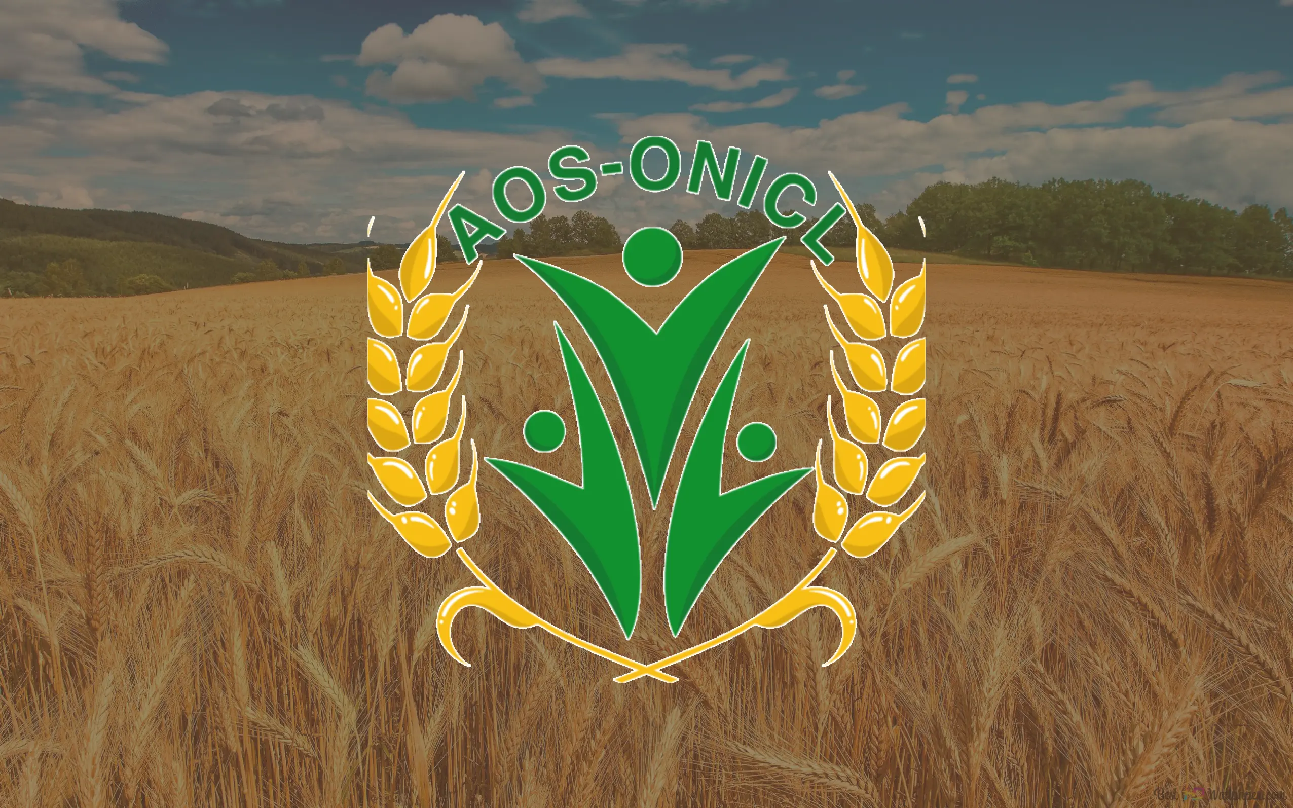 مباراة توظيف 16 منصب بمكتب الحبوب والقطاني ONICL لسنة 2025 - Alwadifa Lik